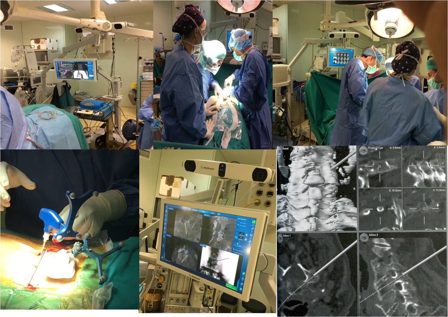 Technician’s Contribution to Orthopaedic Surgery - Professor G. Sapkas ...